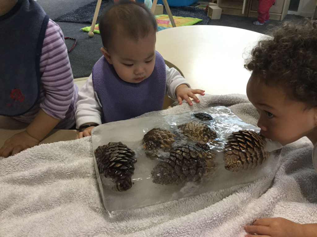 Exploring Ice - The Learning Corner Ellerslie